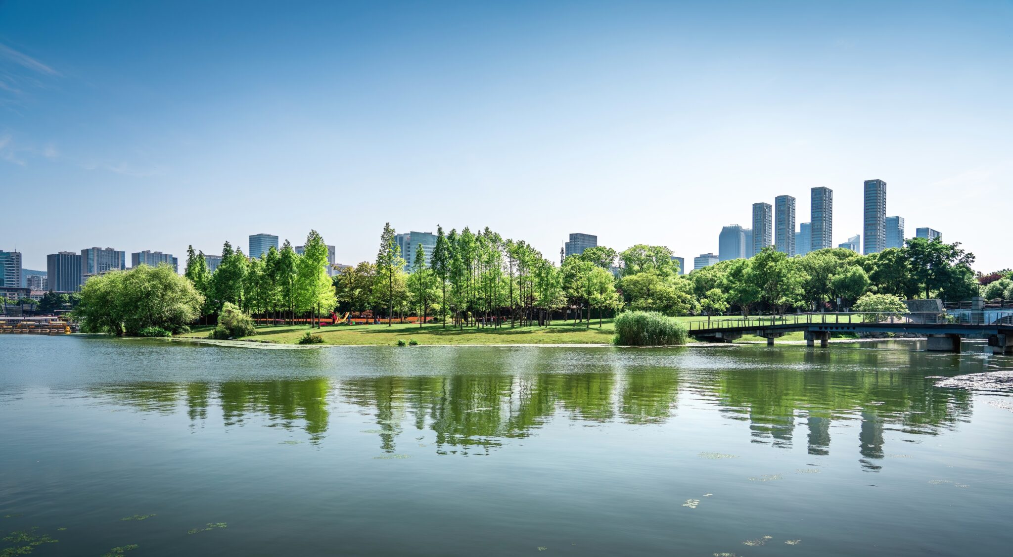 Citizen Feedback in 2023: What Cities Need to Know - Leger