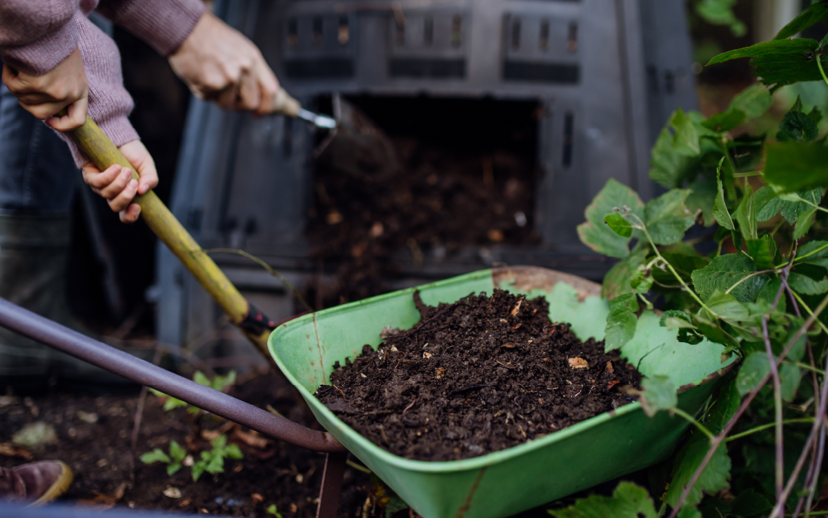 The Rise of Composting: From Niche to Norm - Leger