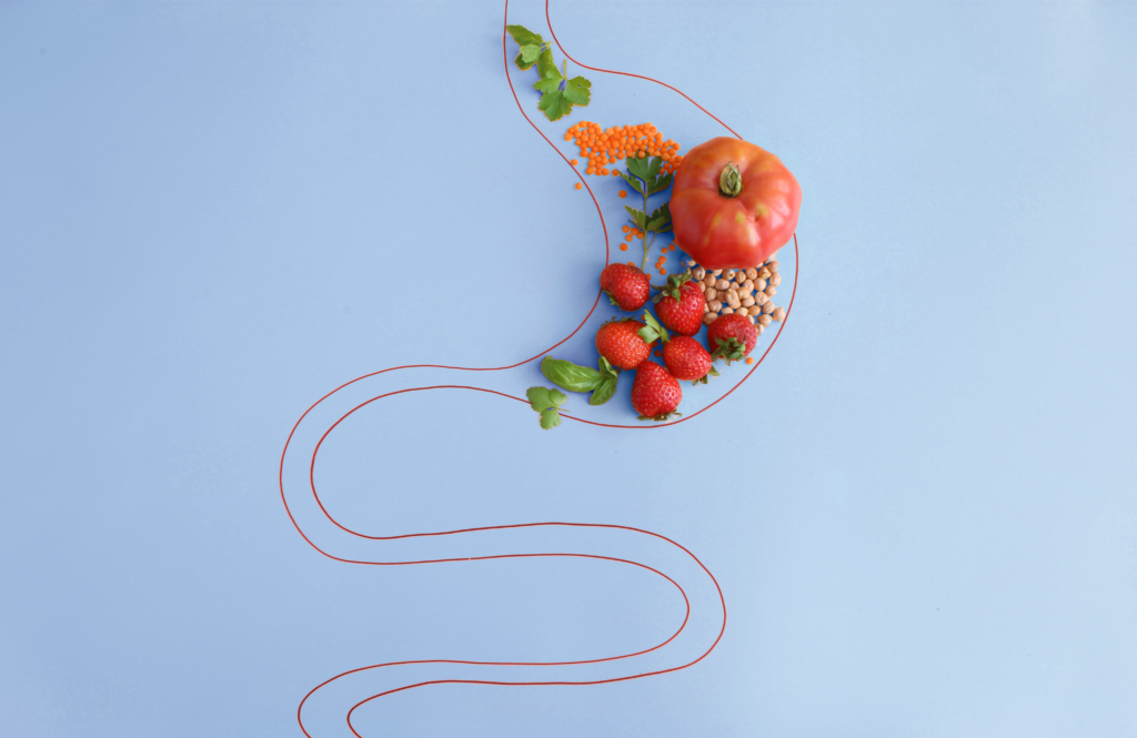 Exploring Gut Health Trends: Insights from Our 2024 Health and Wellness ...